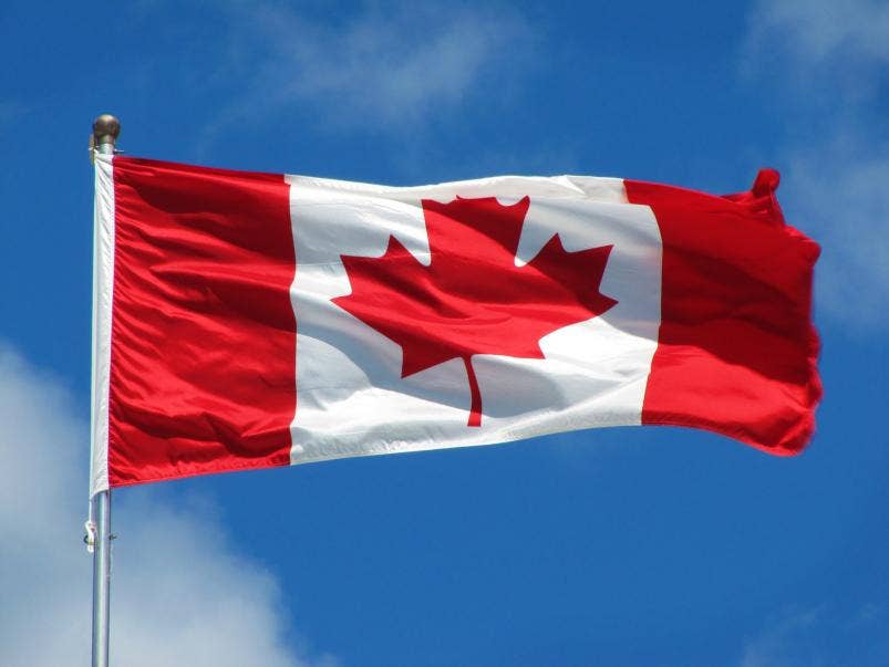 Ingram Micro Taps Three Execs For Canadian Team | CRN