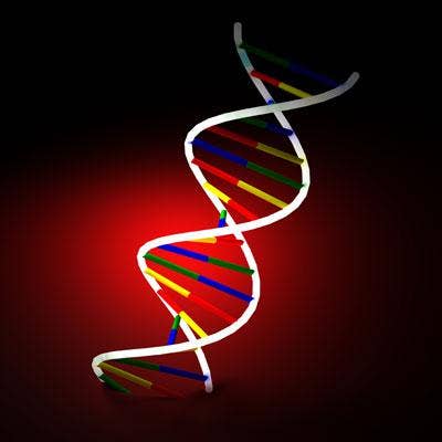 CRN Exclusive: Google Adds New Life Science Platform Partners To GCP | CRN