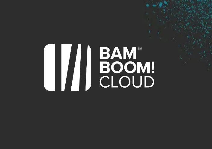 Pax8 Acquires Microsoft Dynamics-Focused Bam Boom Cloud: ‘A Smart Play ...